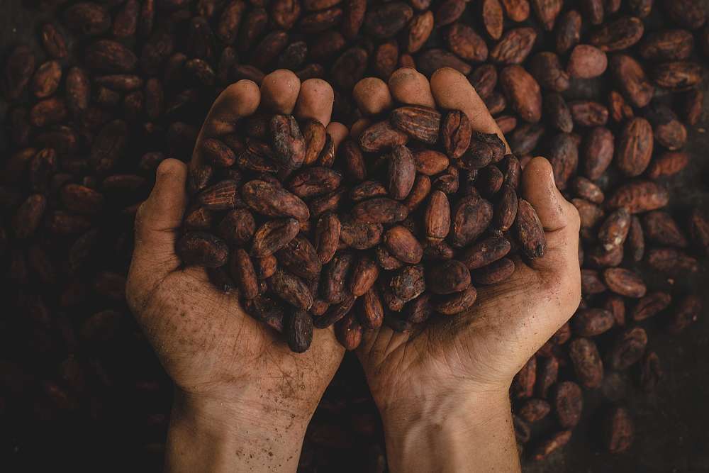 Výroba čokolády - Le Chocolat